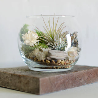 Classes & Events – Figgy