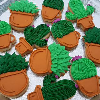 Classes & Events – Figgy