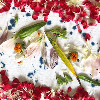 Classes & Events – Figgy