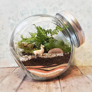 Classes & Events – Figgy